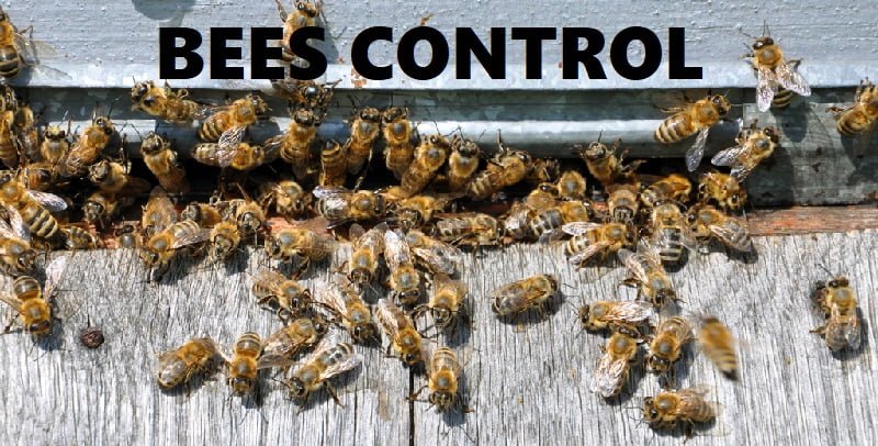 JOPESTKIL KENYA SPECIALIST BEES CONTROL SERVICES