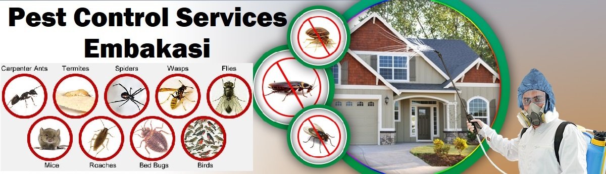 Jopestkil Embakasi Expert Fumigation & Pest Control Services