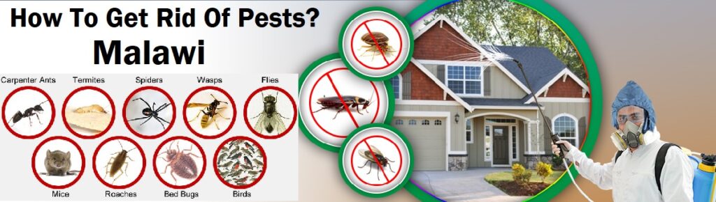 JOPESTKIL MALAWI Top Best WAYS TO GET RID OF PESTS?